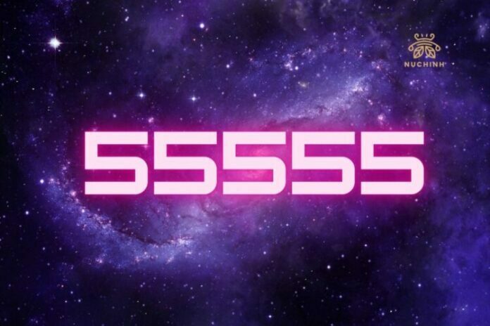 55555 có ý nghĩa gì? Ngũ quý 5 nói gì về tương lai của bạn?