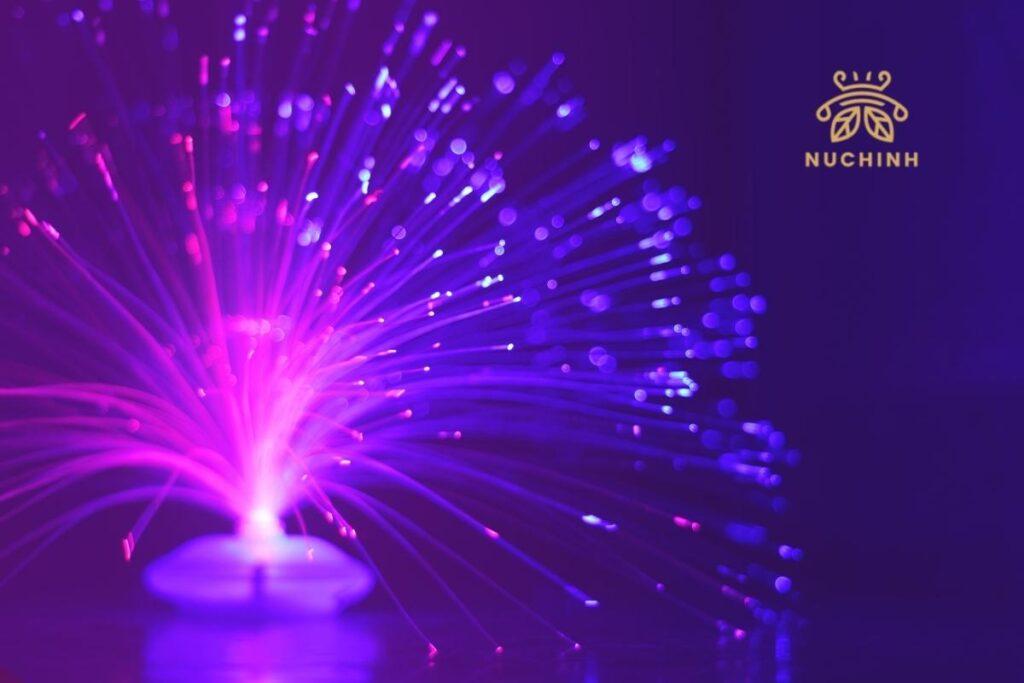 Màu tím tượng trưng cho điều gì? 6 cách phối đồ màu tím