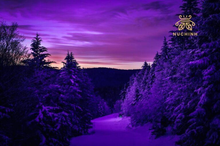 Màu tím tượng trưng cho điều gì? 6 cách phối đồ màu tím