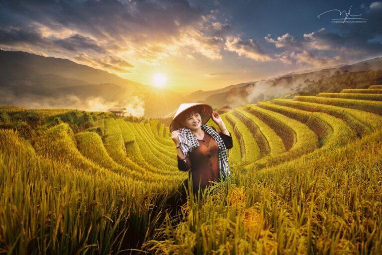 7 Concept chụp ảnh cánh đồng lúa trong trẻo hút nghìn like