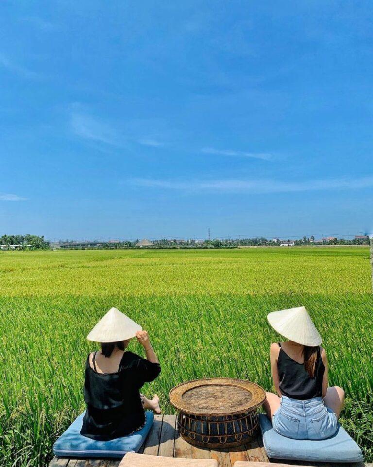 7 Concept chụp ảnh cánh đồng lúa trong trẻo hút nghìn like